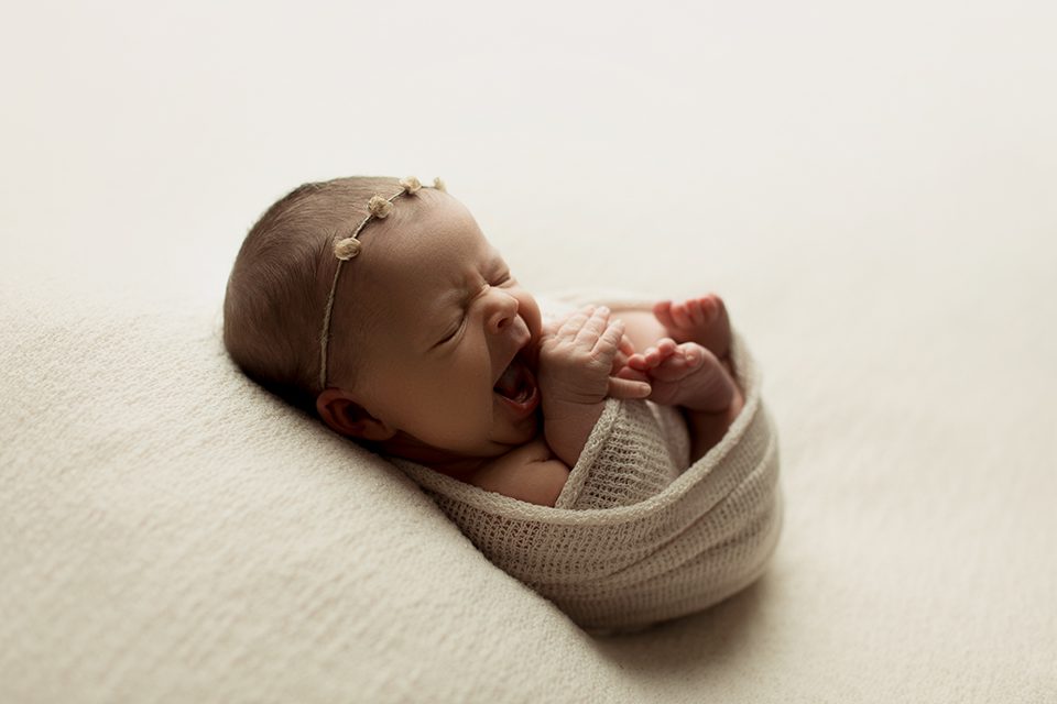 hadley | newborn 2022 » Nicole Murphy Photography